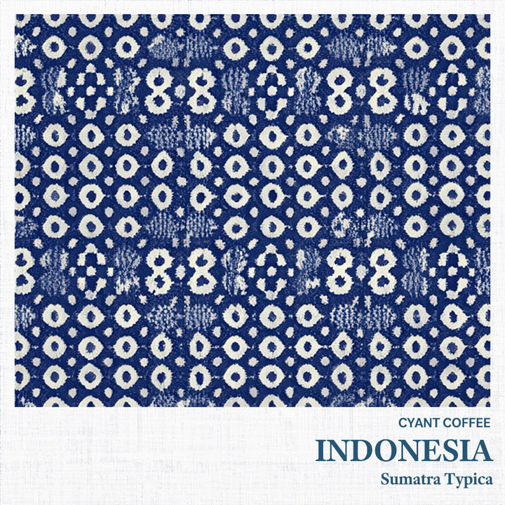 CYANT｜シヤント カフェ&自家焙煎コーヒー豆のオンライン販売【大阪・上本町 シヤント】